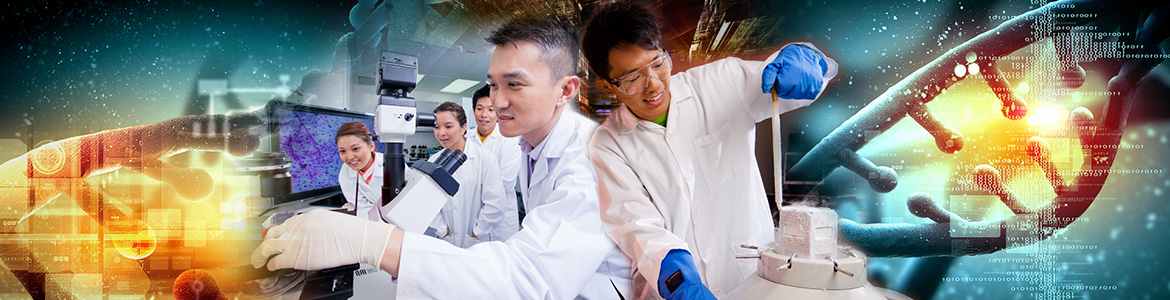 Rising to the Top: The Science Behind Bread-Making (CODE: APLMTPMS003 ...