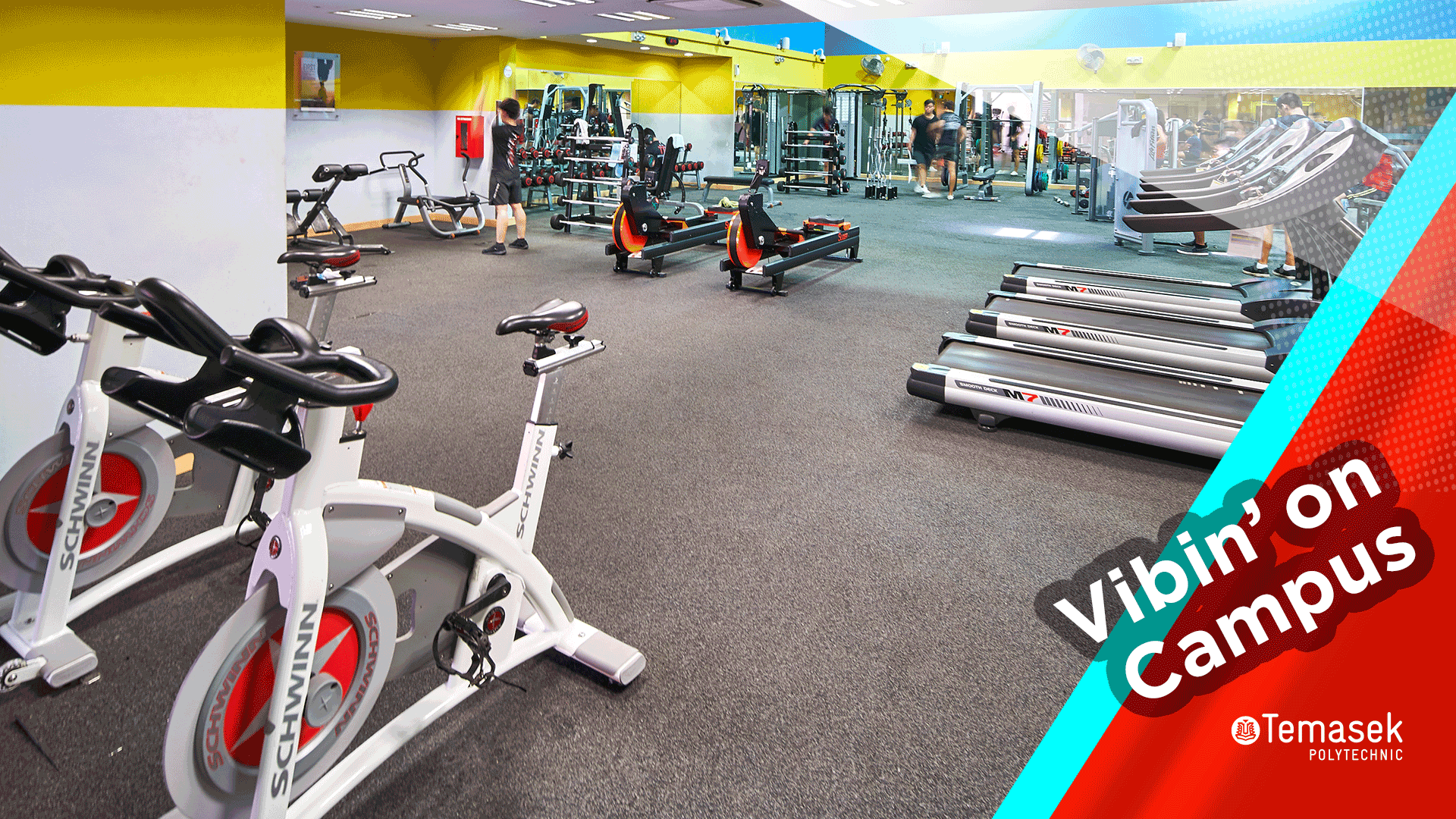 Digital Backdrops | Temasek Polytechnic