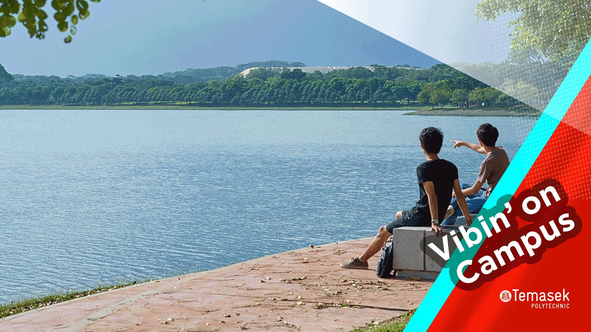 Digital Backdrops | Temasek Polytechnic