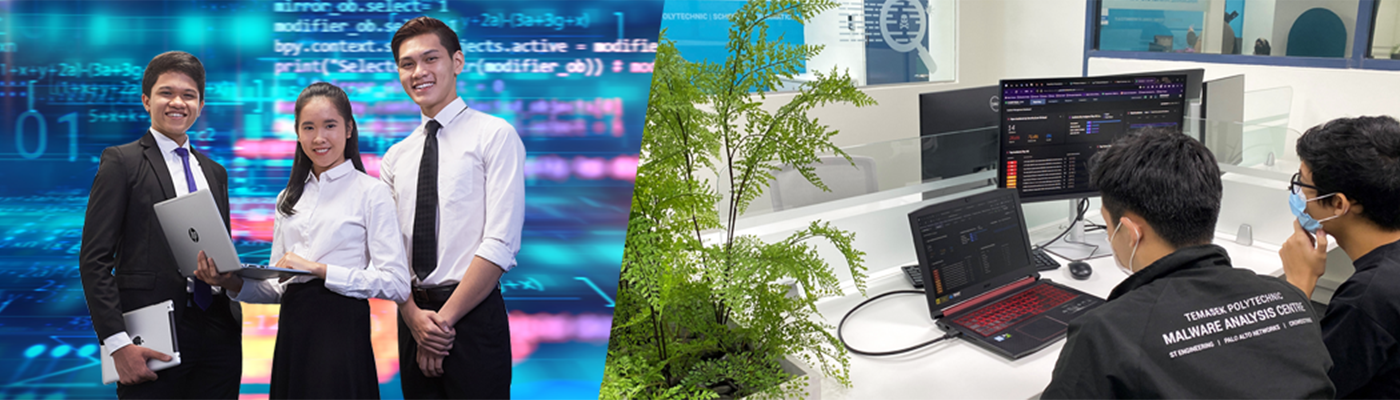 Student Internship Programme (IIT) | Temasek Polytechnic