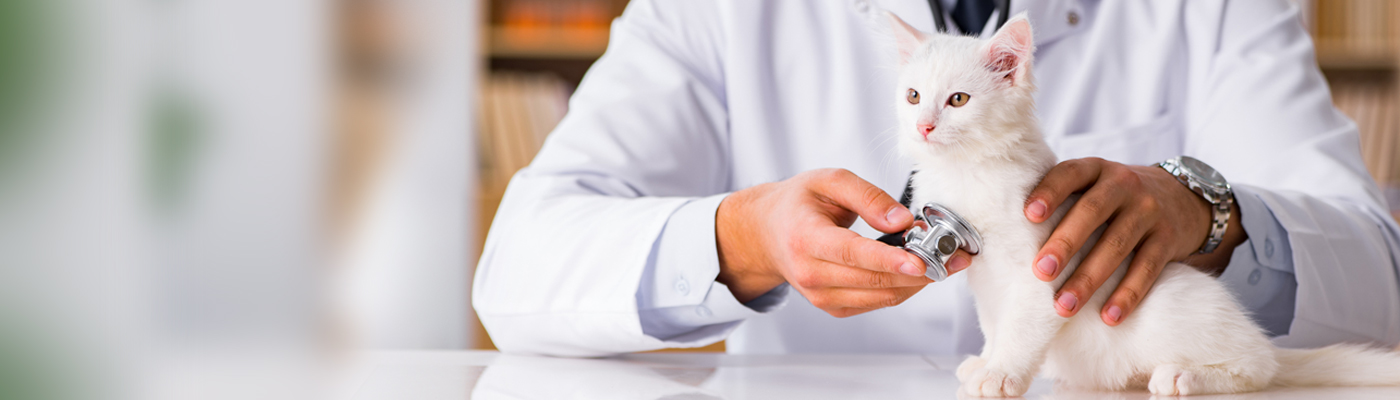 RECOVER Basic and Advanced Life Support Rescuer Certification for ...