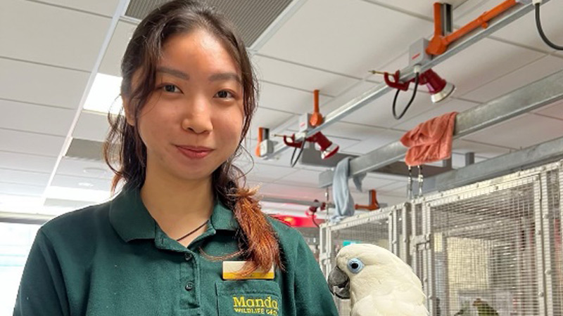 Diploma in Veterinary Technology (T45) | Temasek Polytechnic